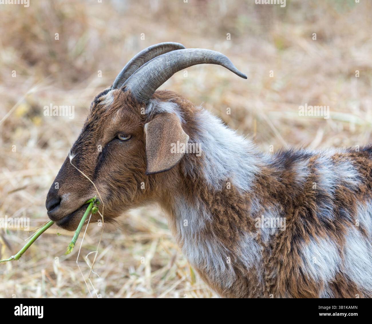 Agriculture risk management hi-res stock photography and images - Alamy