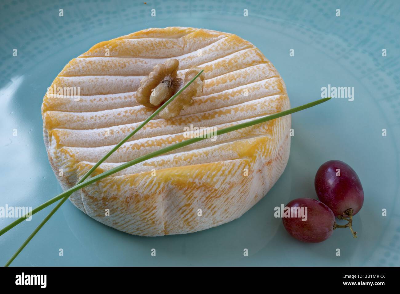 French soft cheese with red smear bacteria from the Vosges mountain ...
