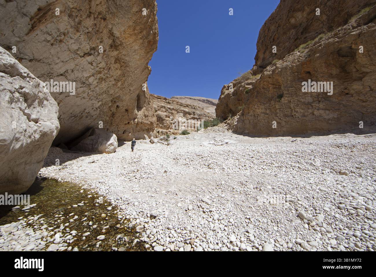 Wadi Bani Khalid, Shamal ash-Sharqiyya district, Oman, Asia Stock Photo ...