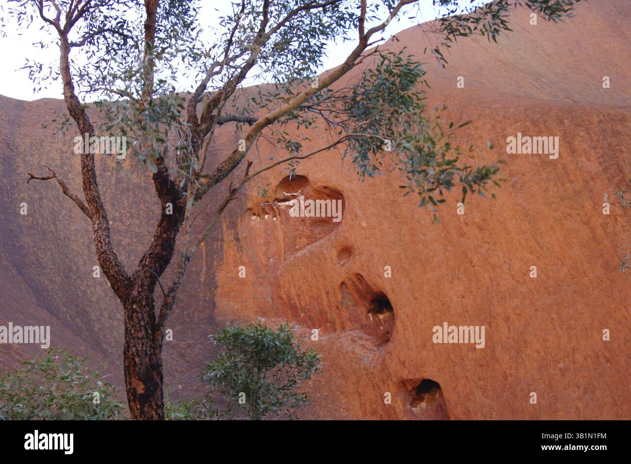 Rock painting at the uluru ayers rock hi-res stock photography and ...