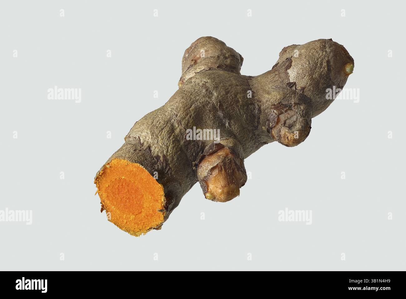 Turmeric rhizome as a cut-out Stock Photo - Alamy