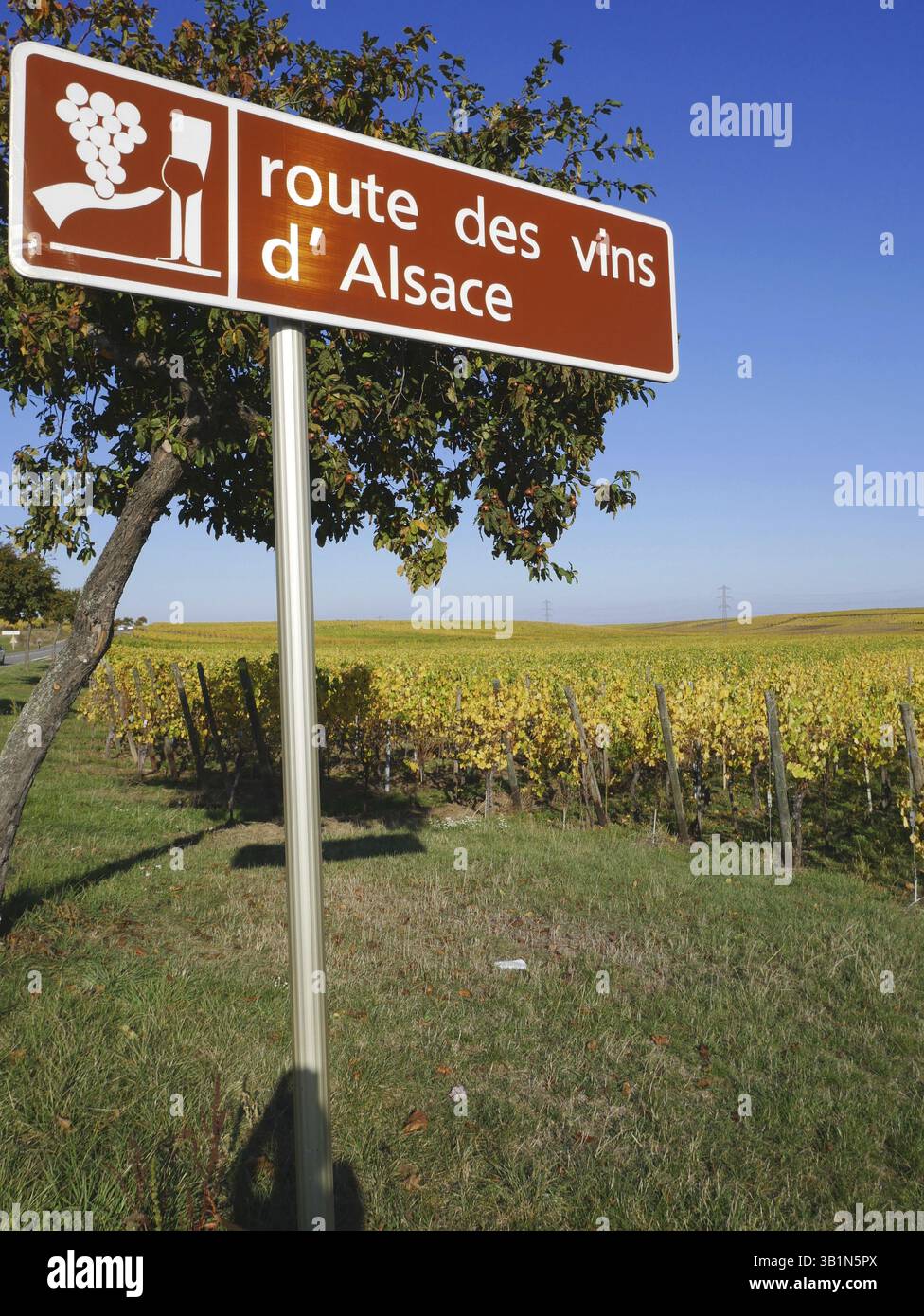 The famous wine route Stock Photo - Alamy