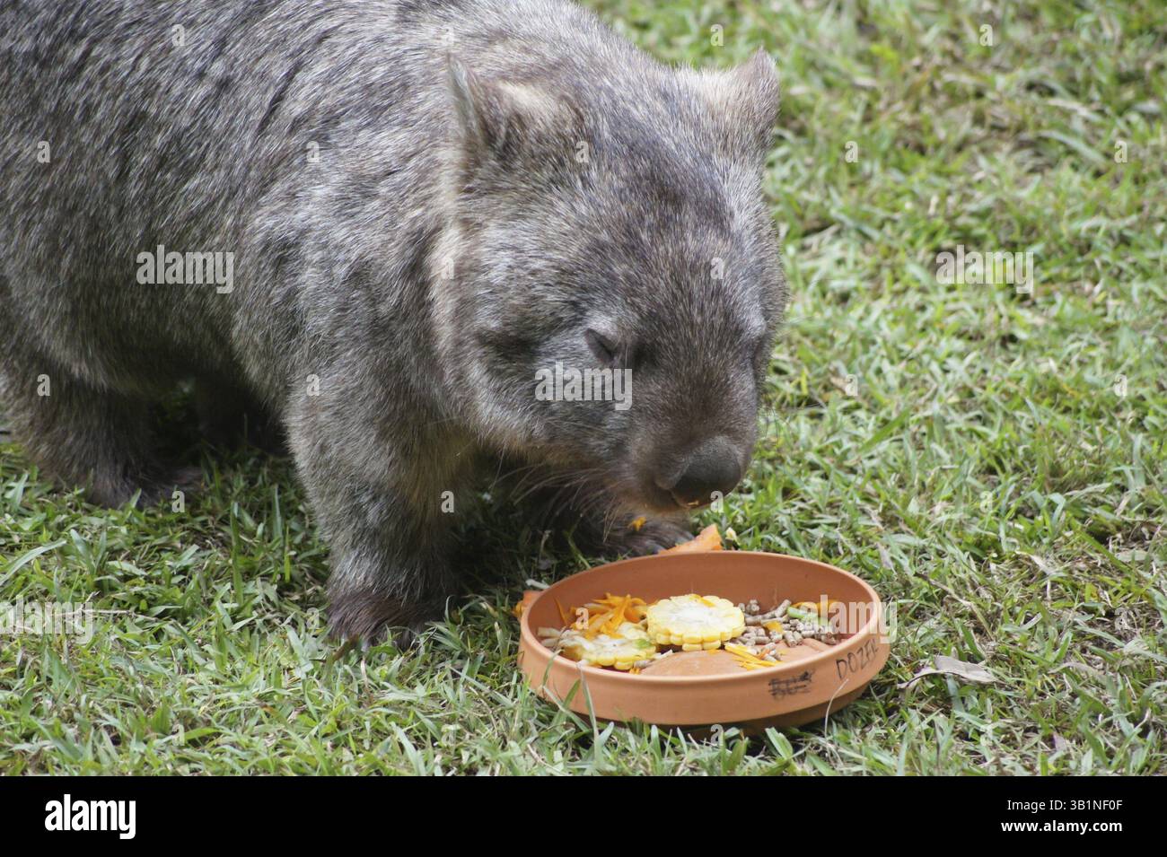 Dreamtime round hi-res stock photography and images - Alamy