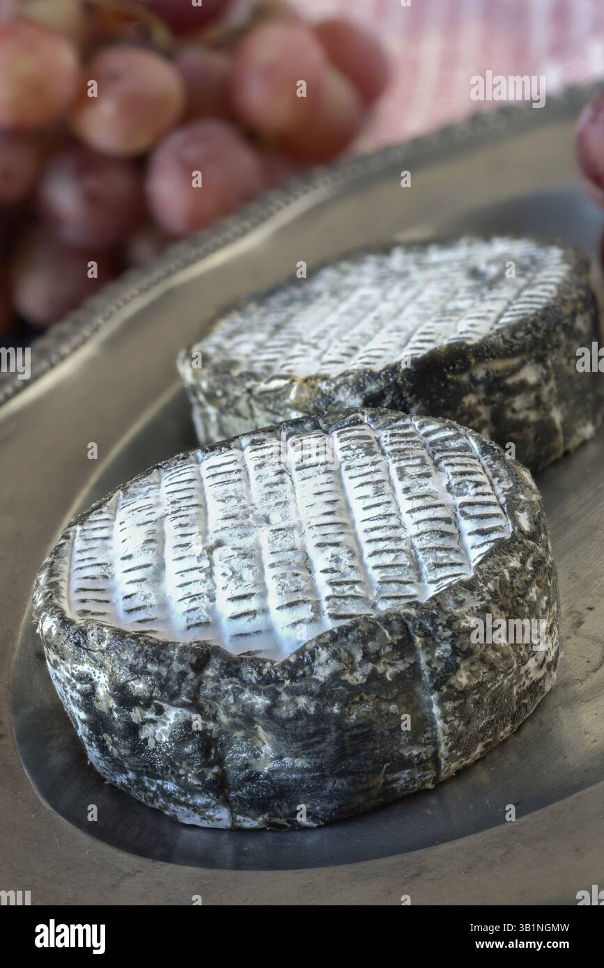 French soft cheese from the farm Stock Photo - Alamy