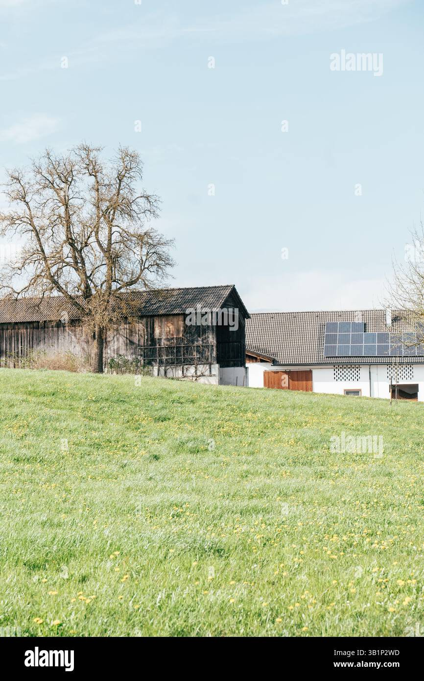 Serene farm setting features hi-res stock photography and images - Alamy