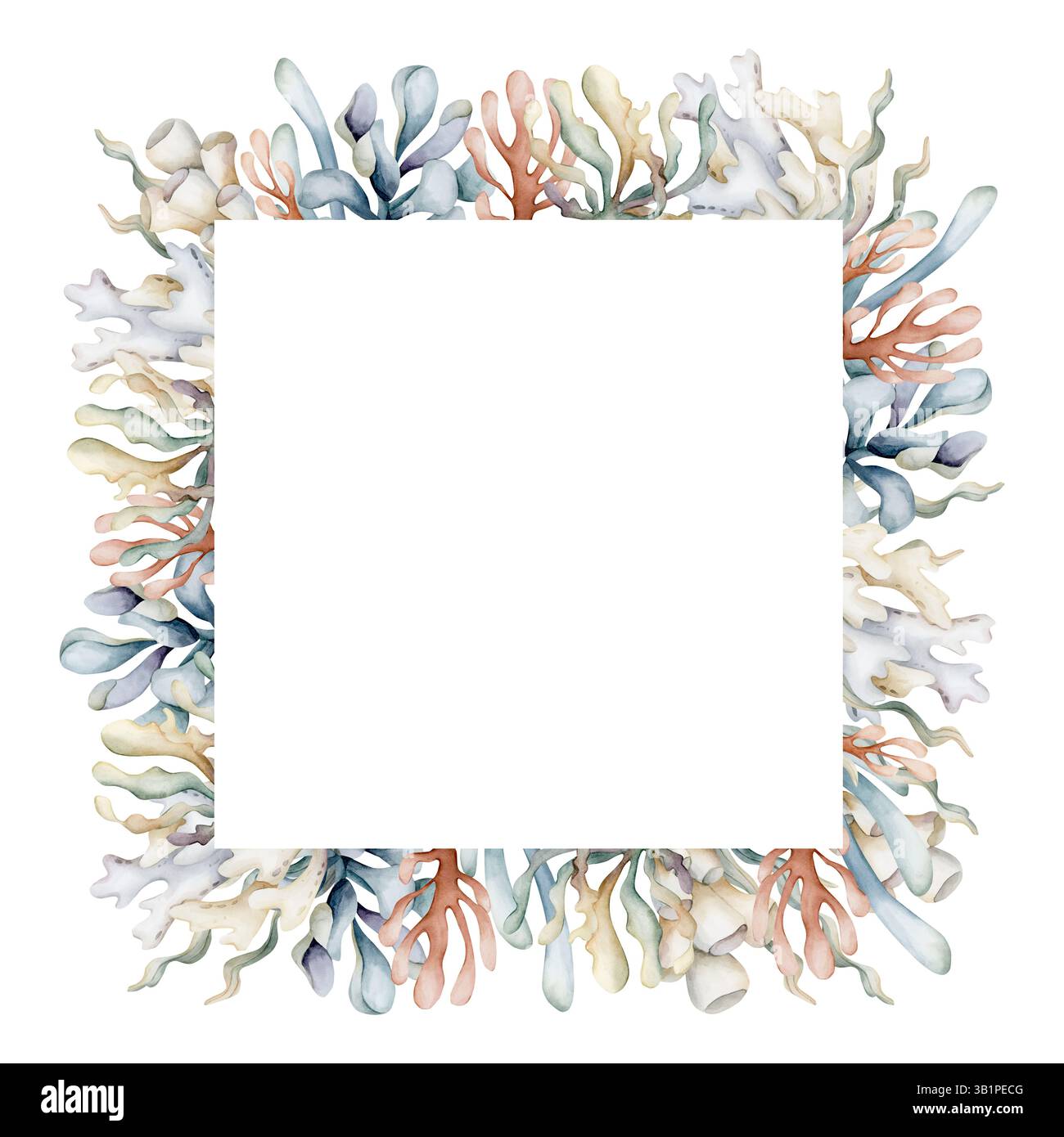 Seaweeds Algae Sea Corals Frame. Cute ocean marine underwater plants ...