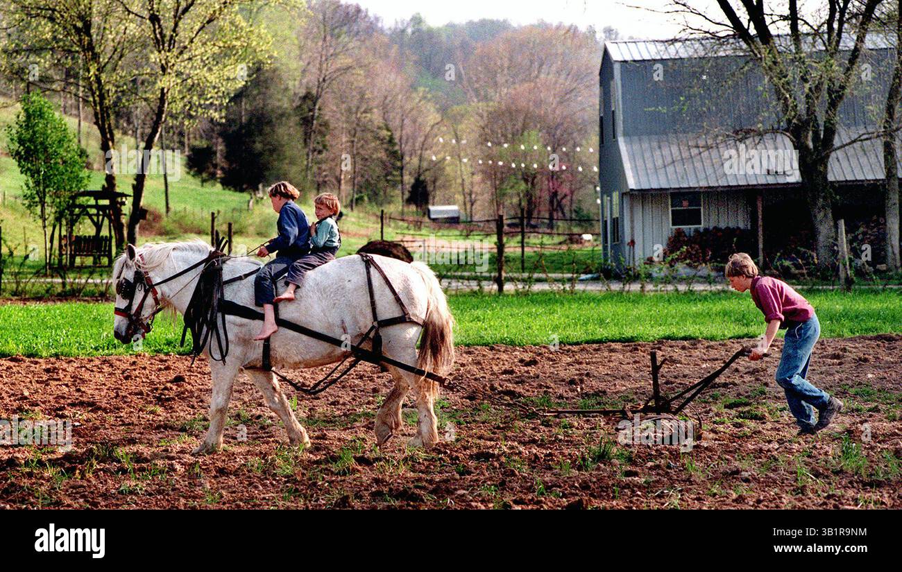 Apr. 7, 1998 - Pleasantville, TN, U.S. - Tue, 7 Apr 98 (mdmplant2 ...