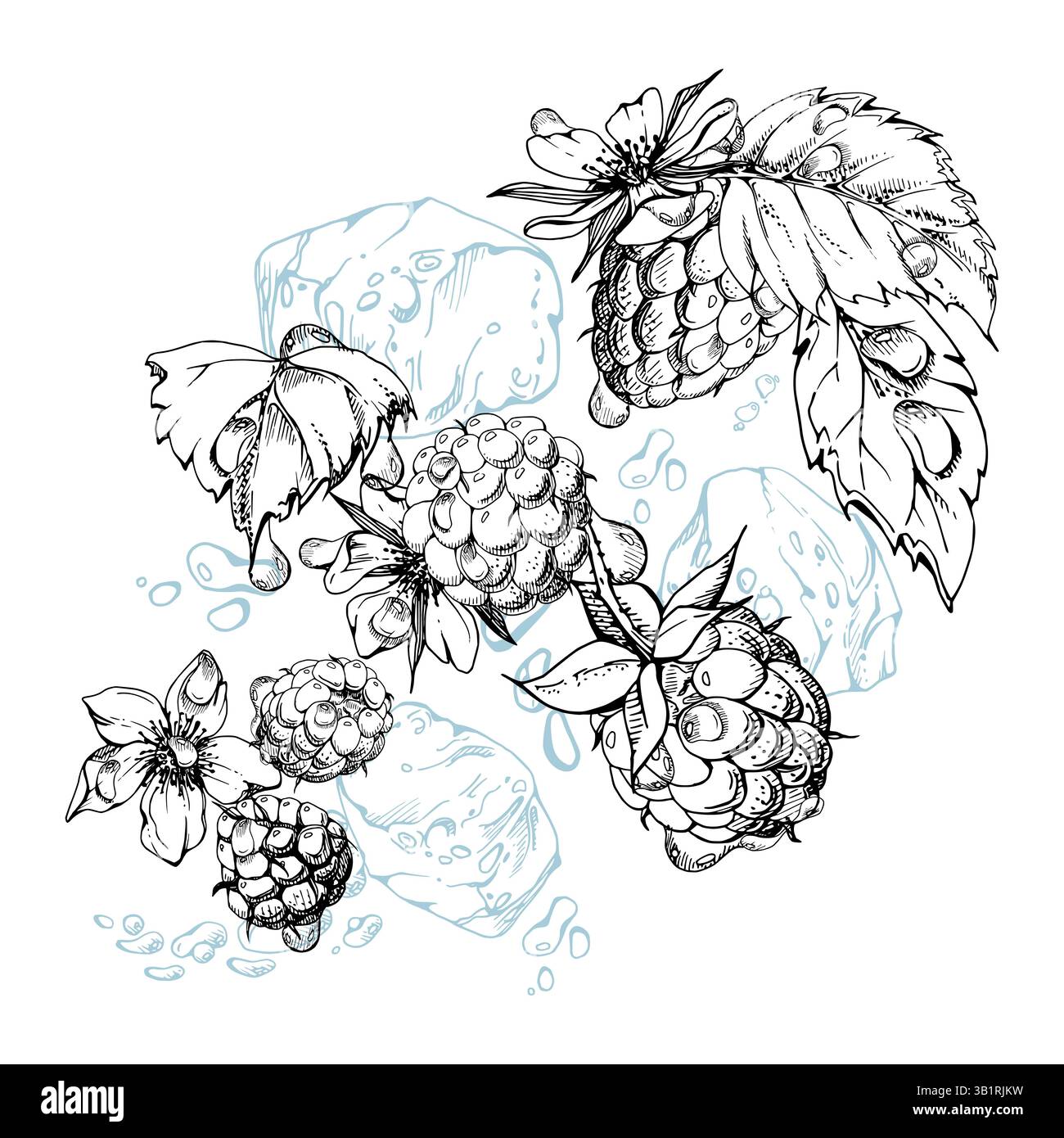 Raspberry ripe garden berries flying in water splash leaves flowers ...