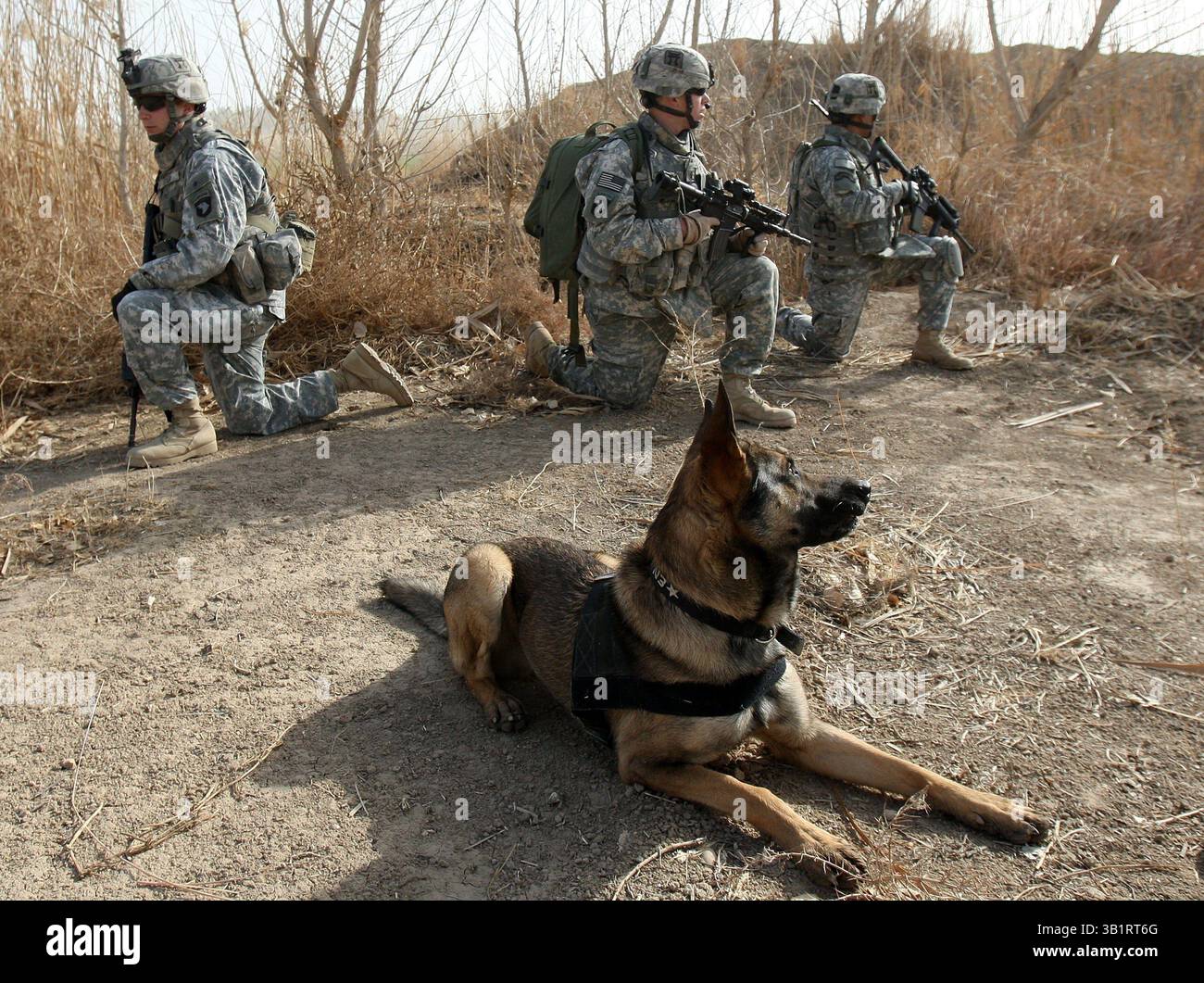 Feb. 28, 2008 - Baghdad, Iraq - Dog and soldiers take up defensive ...