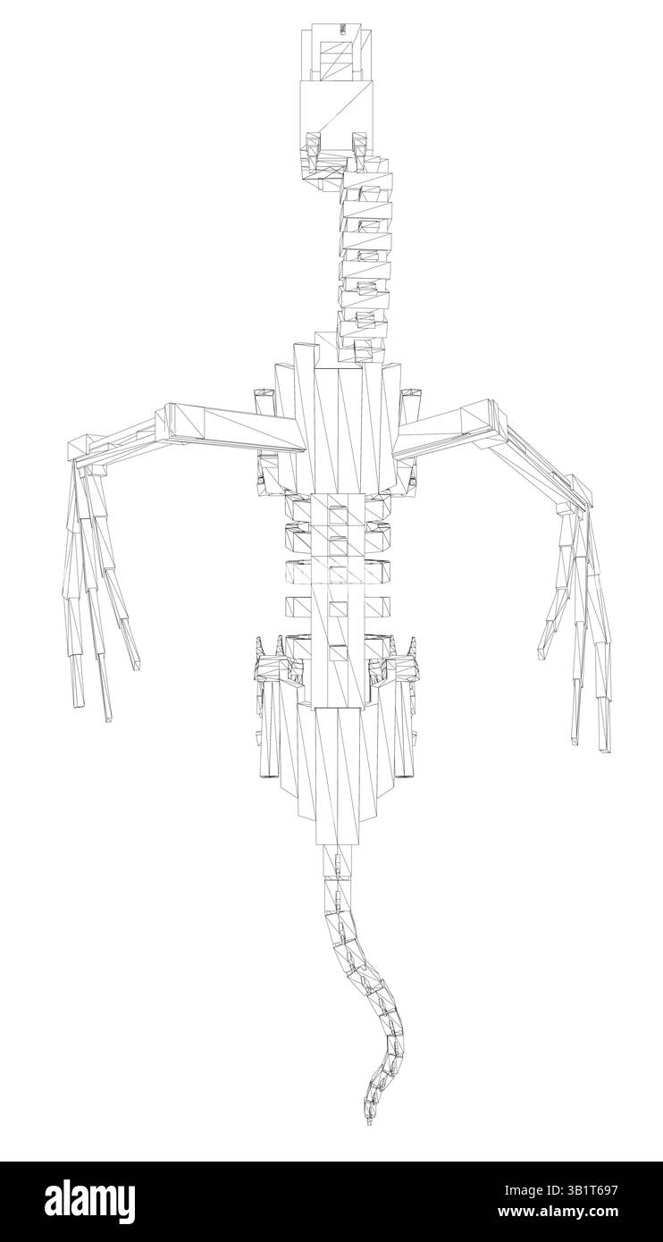 A skeleton Dragon is drawn in a wireframe pattern. The skeleton is a ...