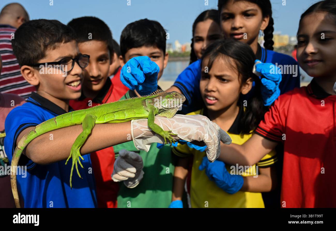 Mumbai, India. 25th Apr, 2025. MUMBAI, INDIA - APRIL 25: School ...