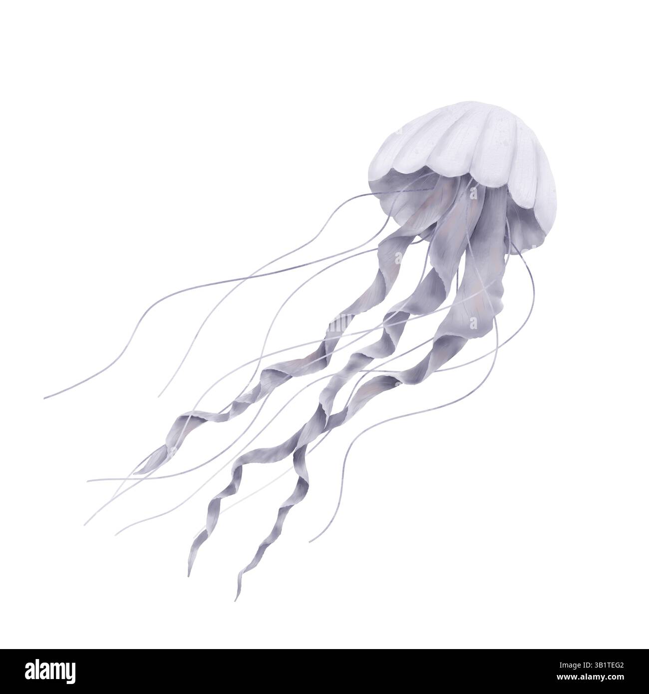 Beach body of water Cut Out Stock Images & Pictures - Alamy