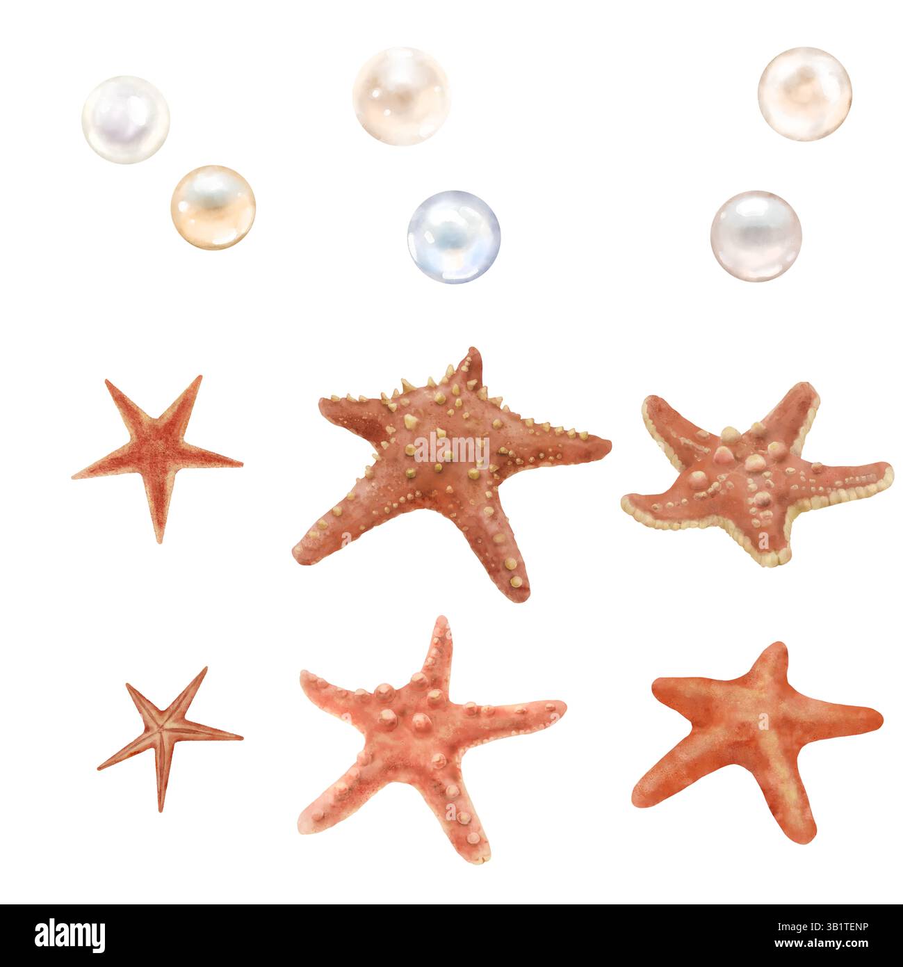 Oceanic stars and natural pearls from the bottom of the sea. Watercolor ...