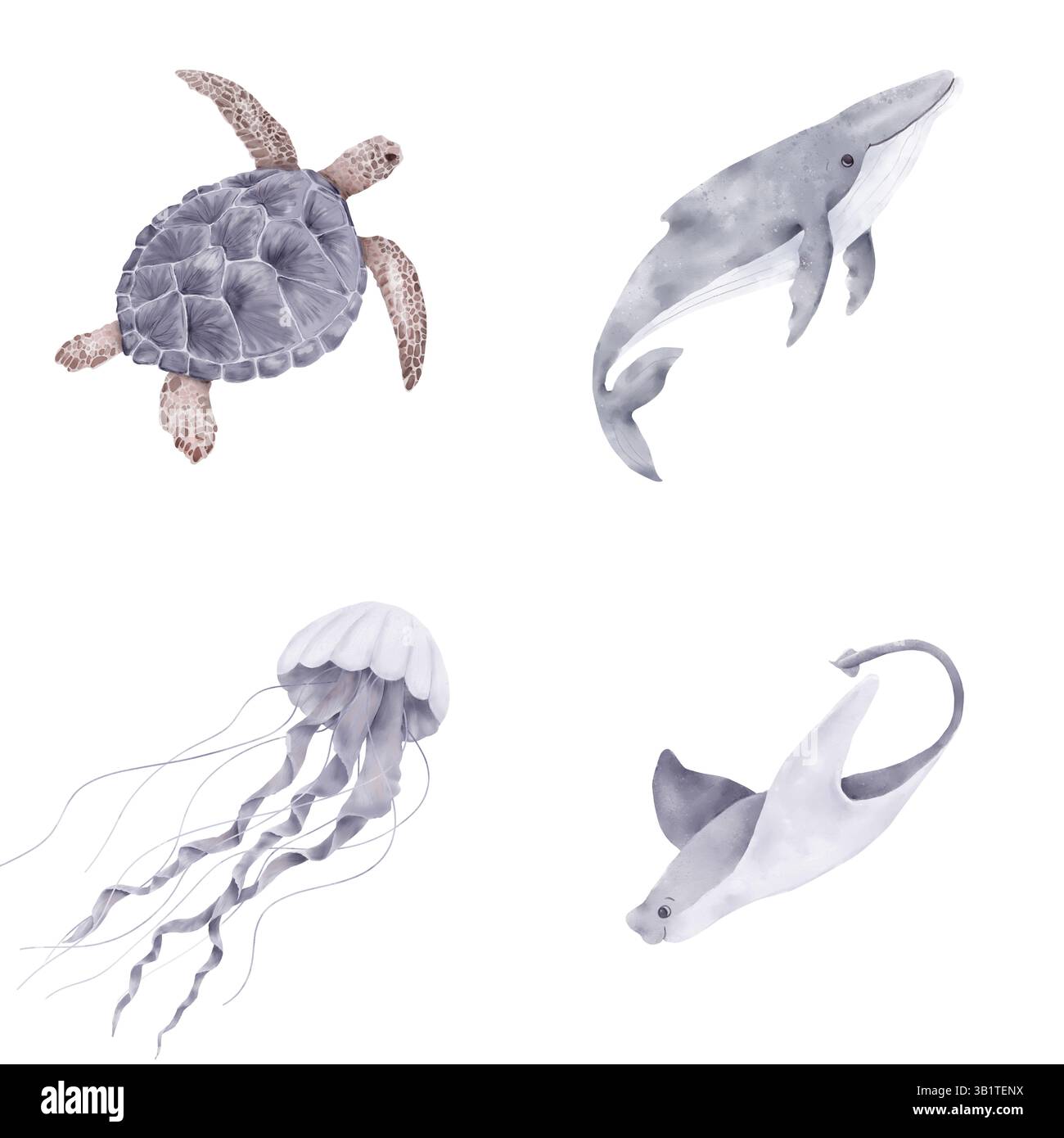 A humpback whale and an ocean stingray, a sea turtle and a jellyfish ...