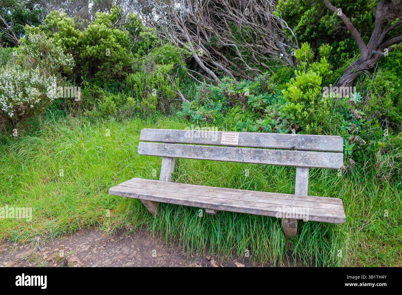 Lena Guy loving memory bench, ,Bushrangers bay track, trail, Mornington ...
