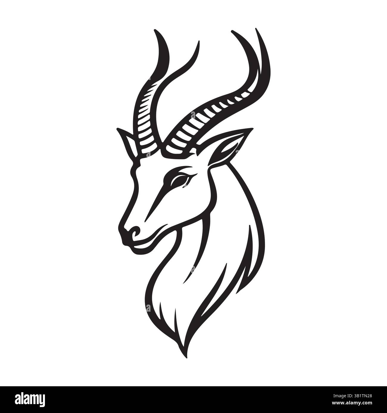 Springbok emblem Stock Vector Images - Alamy