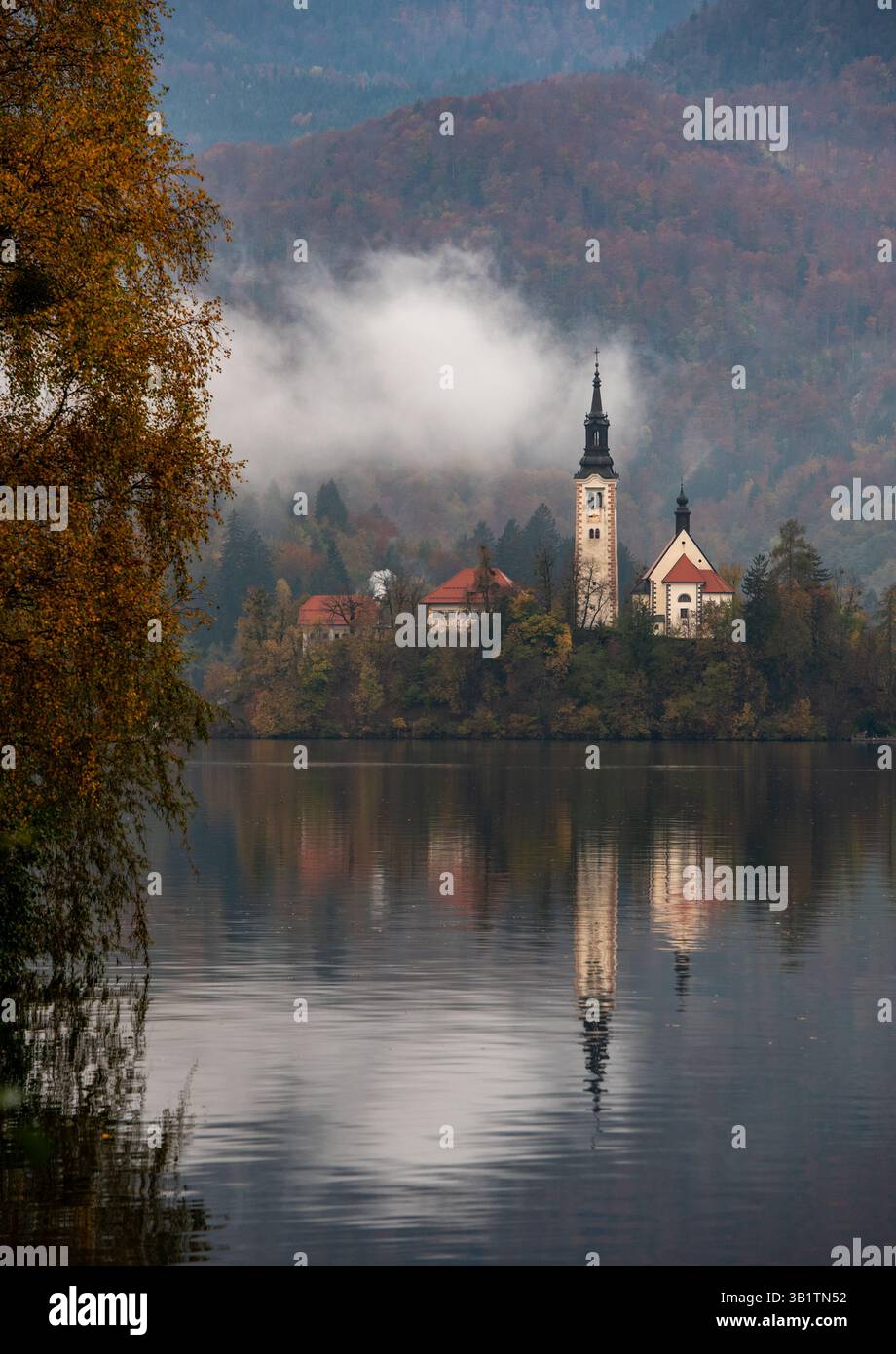 Assumption of mary pilgrimage church reflecting on calm lake bled ...