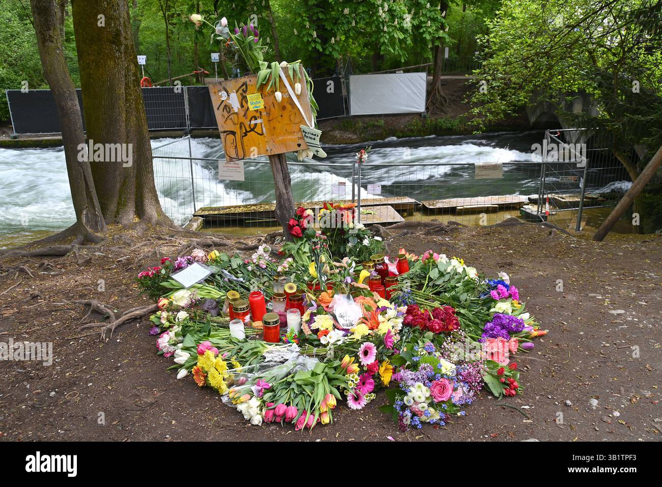 Mennchner Eisbachwelle nach Surf-Unfall gesperrt. Blumenmeer,Blumen und ...