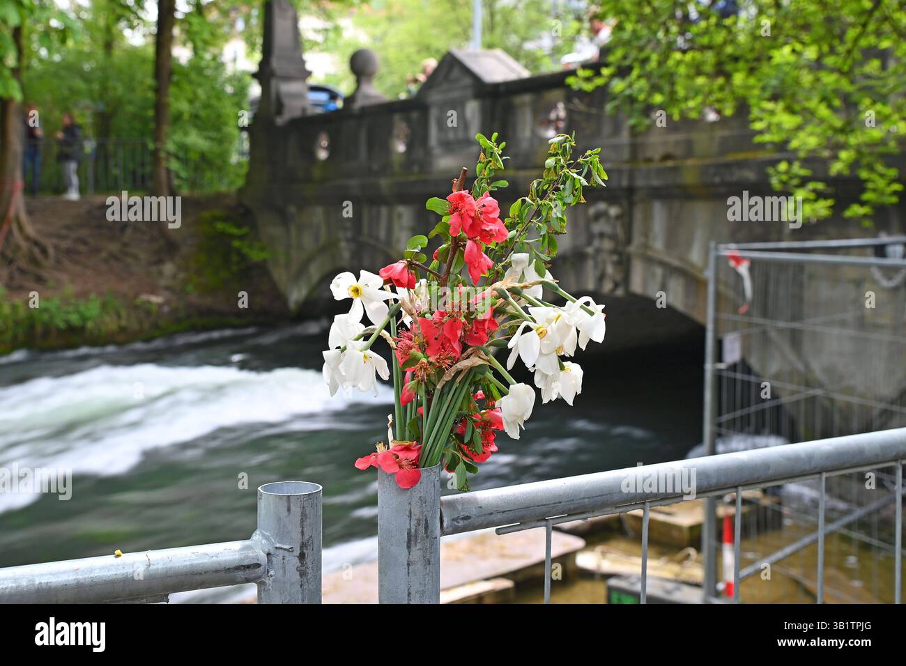Mennchner Eisbachwelle nach Surf-Unfall gesperrt. Blumenmeer,Blumen und ...