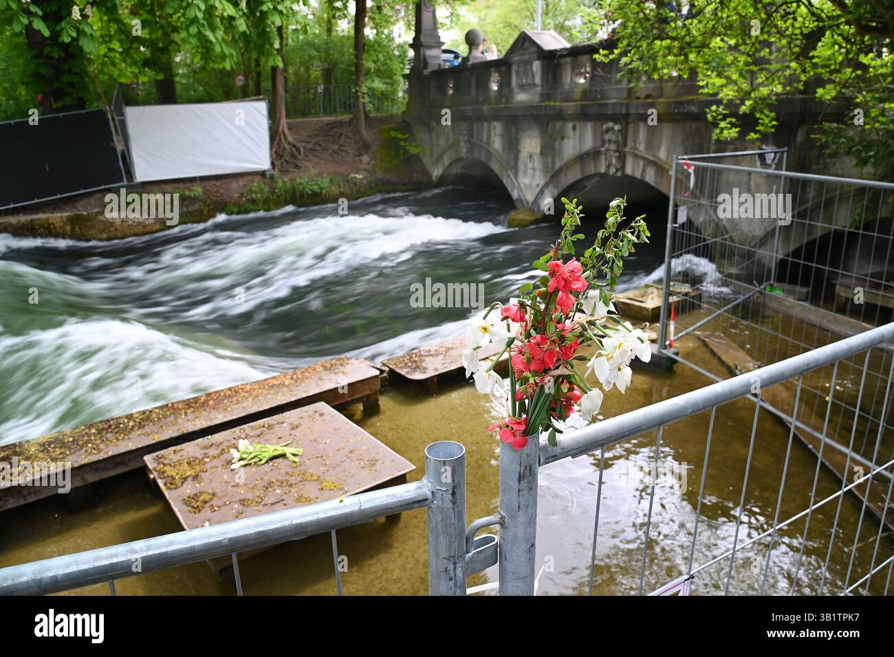 Mennchner Eisbachwelle nach Surf-Unfall gesperrt. Blumenmeer,Blumen und ...