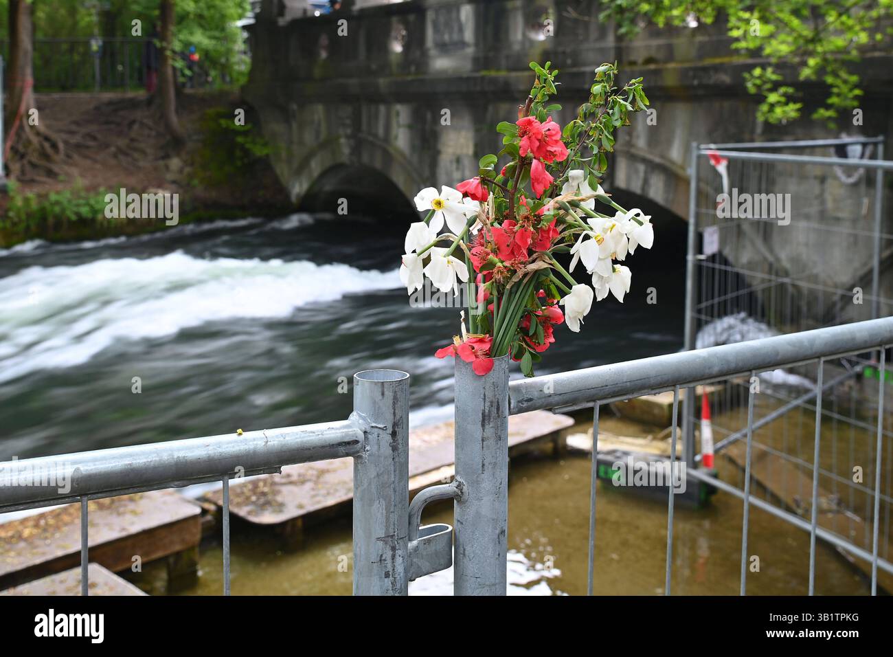 Mennchner Eisbachwelle nach Surf-Unfall gesperrt. Blumenmeer,Blumen und ...