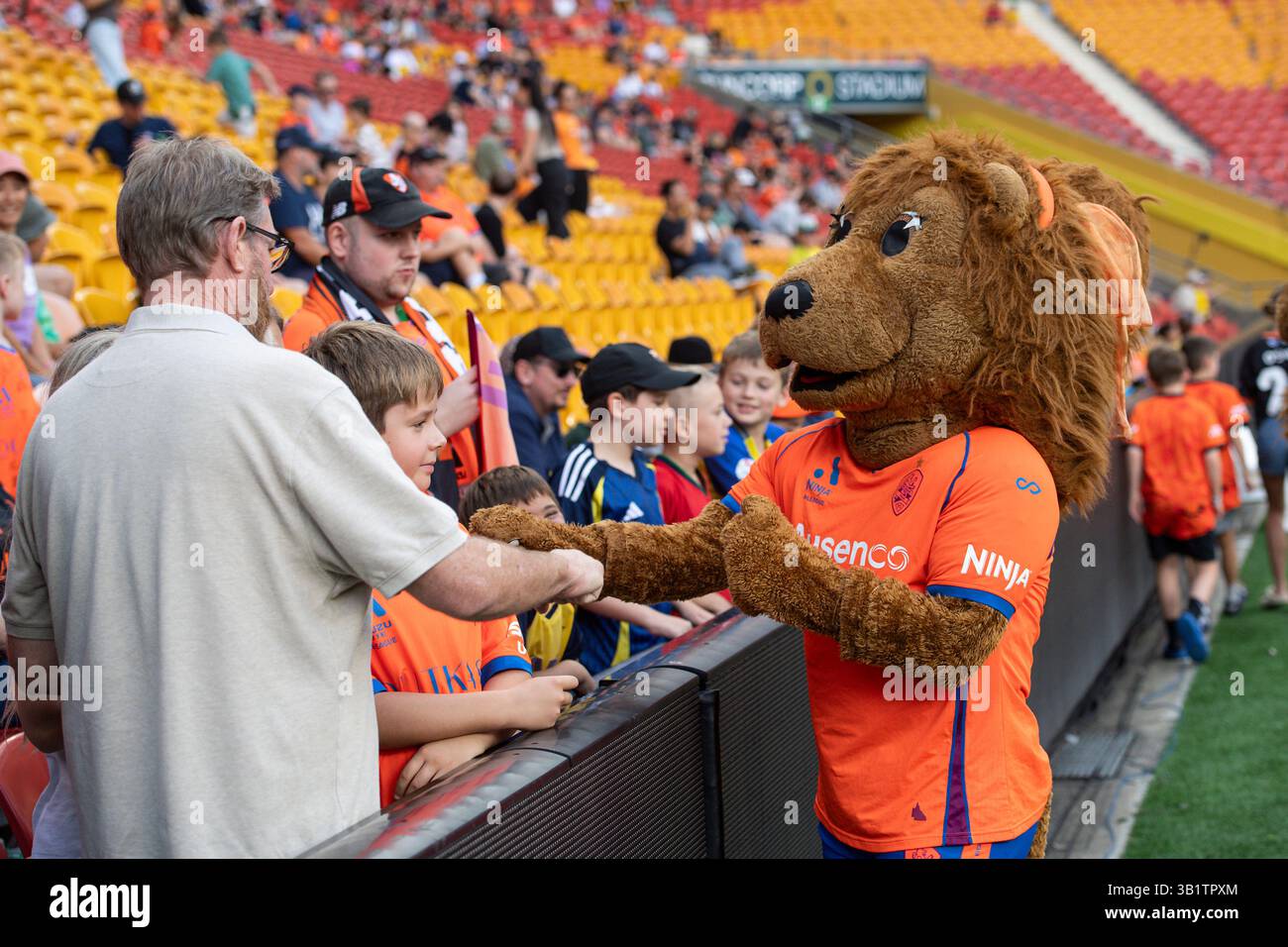 Brisbane roar mascot hi-res stock photography and images - Alamy