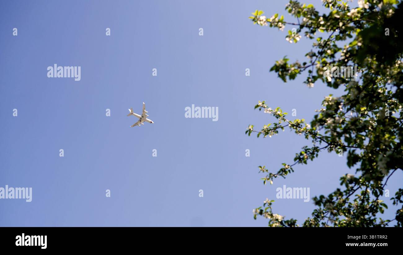 Sleek white passenger aircraft soaring high above blossoming tree ...