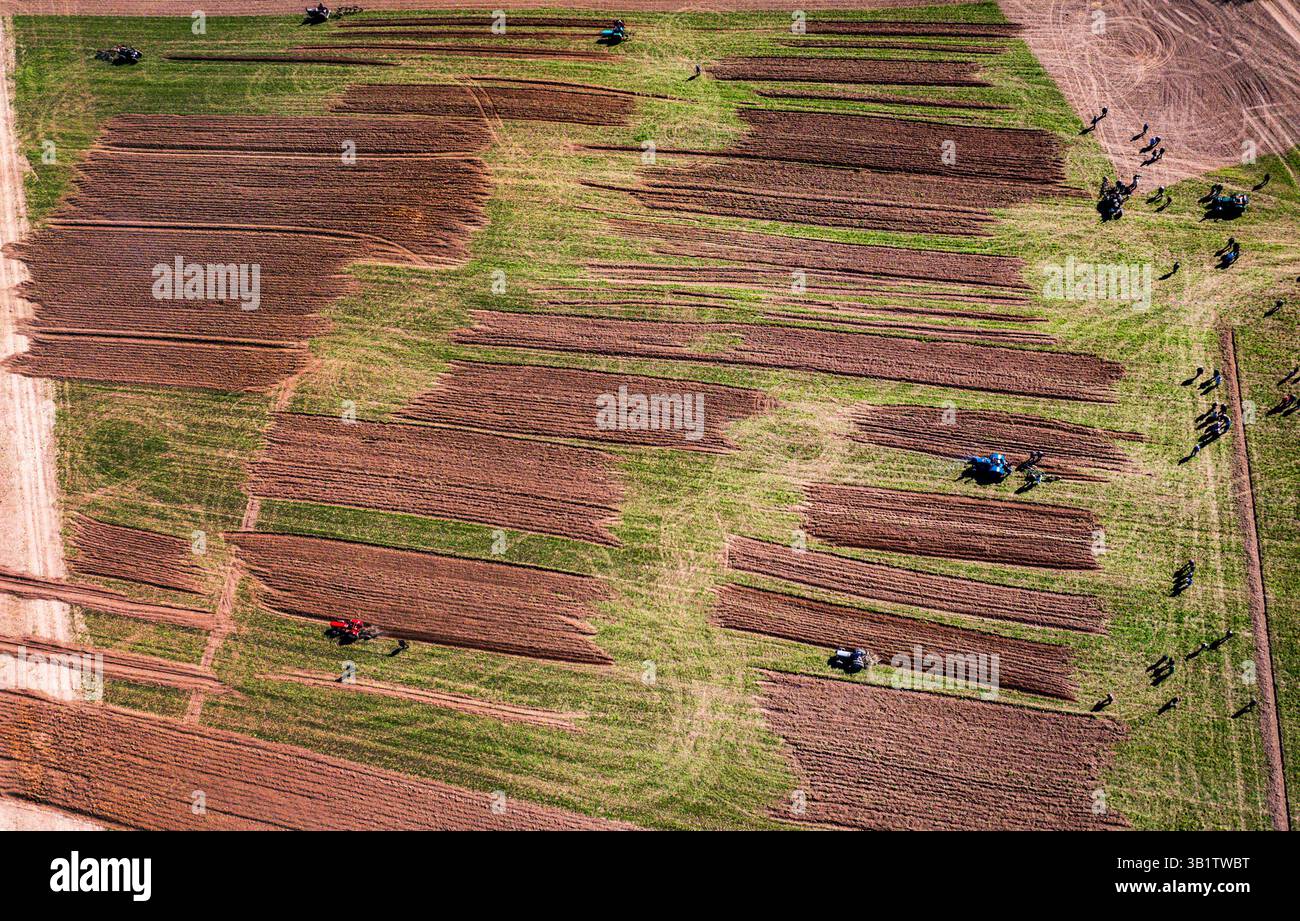 Goddin, Germany. 26th Apr, 2025. Historic tractors drive across a field ...