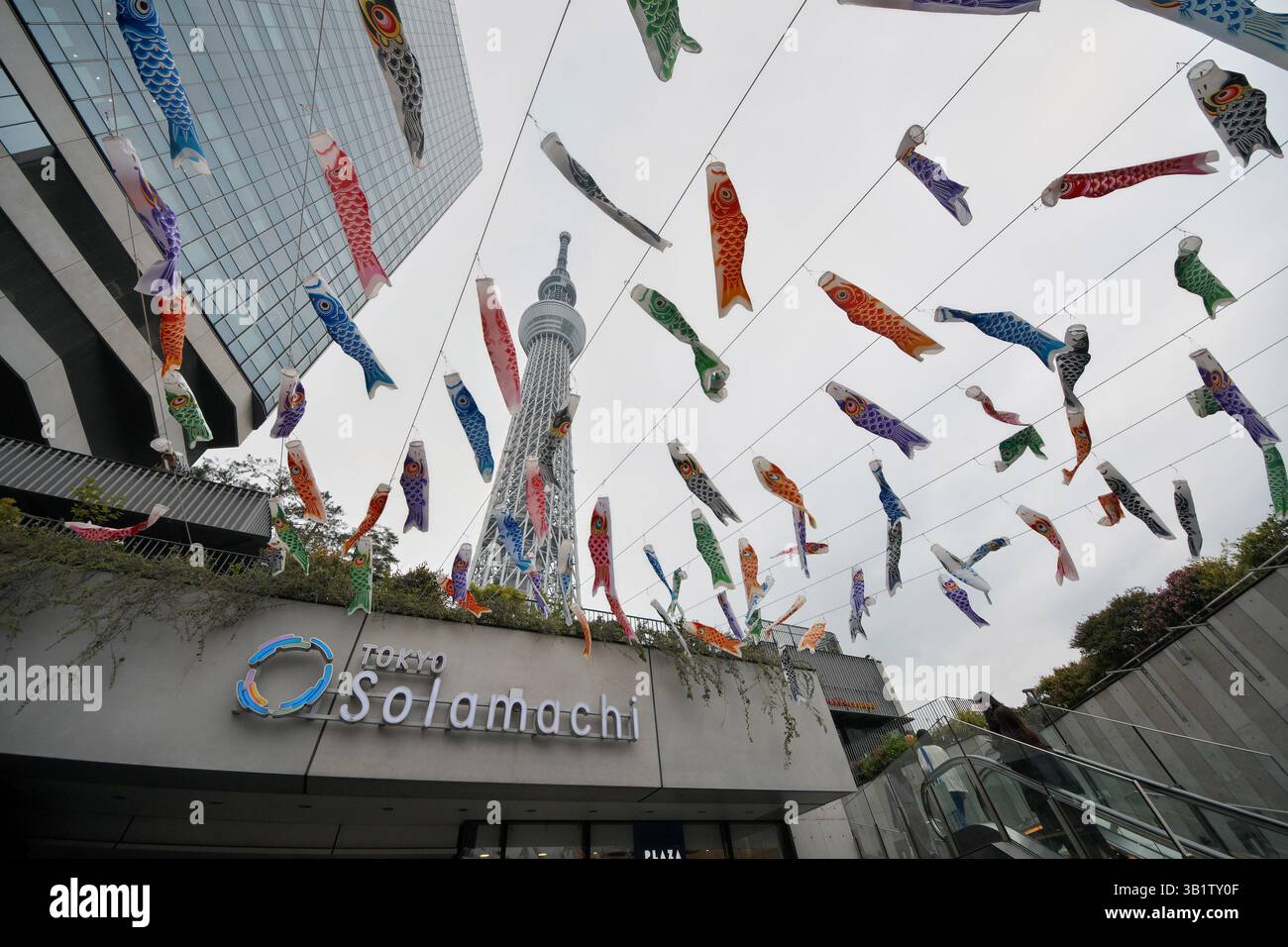 Tokyo, Japan. 26th Apr, 2025. Carp Streamers are seen on display around ...