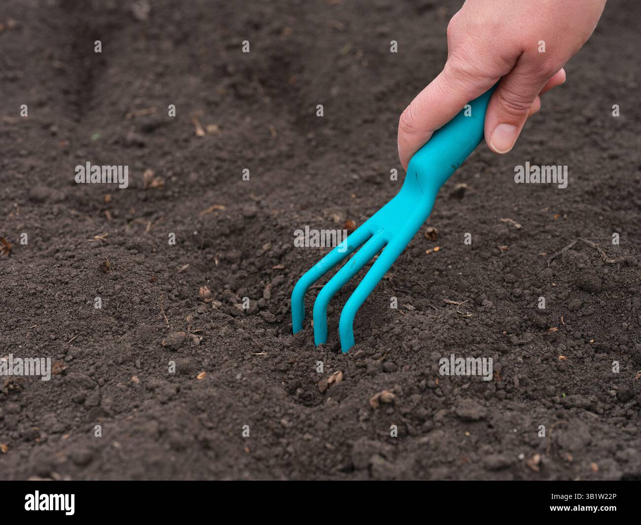 A woman preparing soil using a handheld claw cultivator. Close up Stock ...
