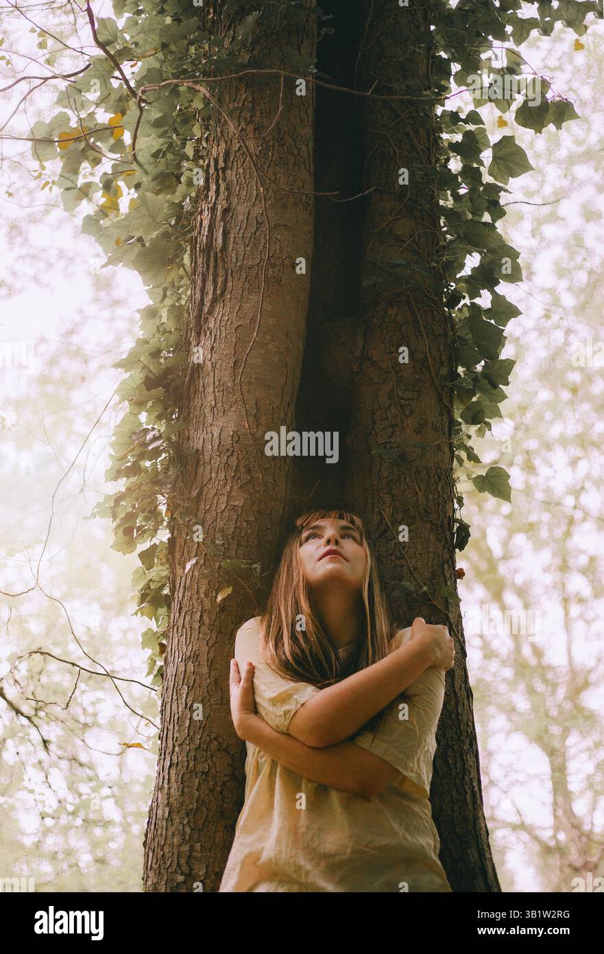 A woman leaned against the hollow of a tall tree in the forest Stock ...