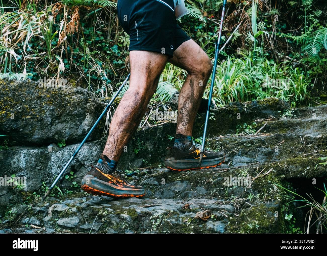 Madeira, 26.04.2025: Feature pictures with runners during the MIUT 115 ...