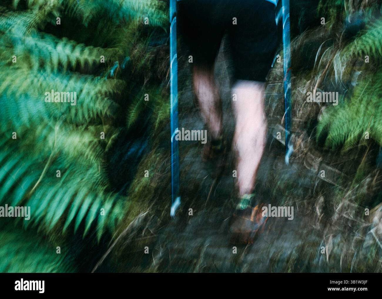 Madeira, 26.04.2025: Feature pictures with runners during the MIUT 115 ...