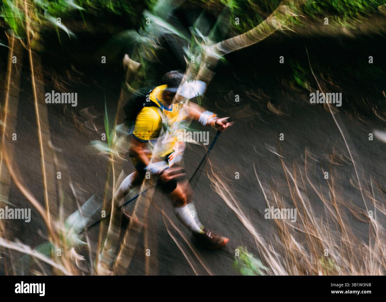 Madeira, 26.04.2025: Feature pictures with runners during the MIUT 115 ...
