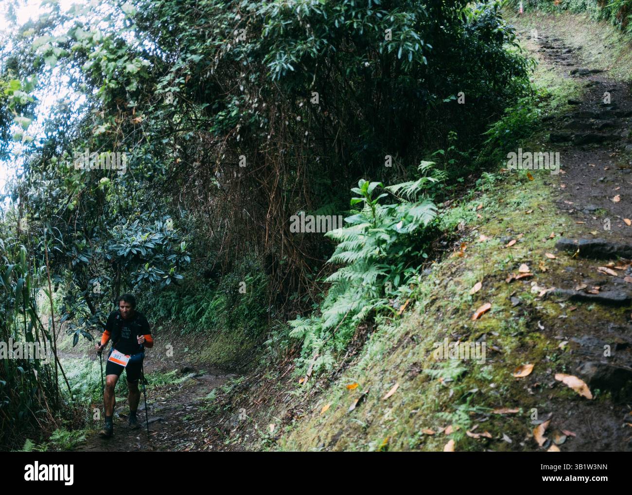 Madeira, 26.04.2025: Feature pictures with runners during the MIUT 115 ...