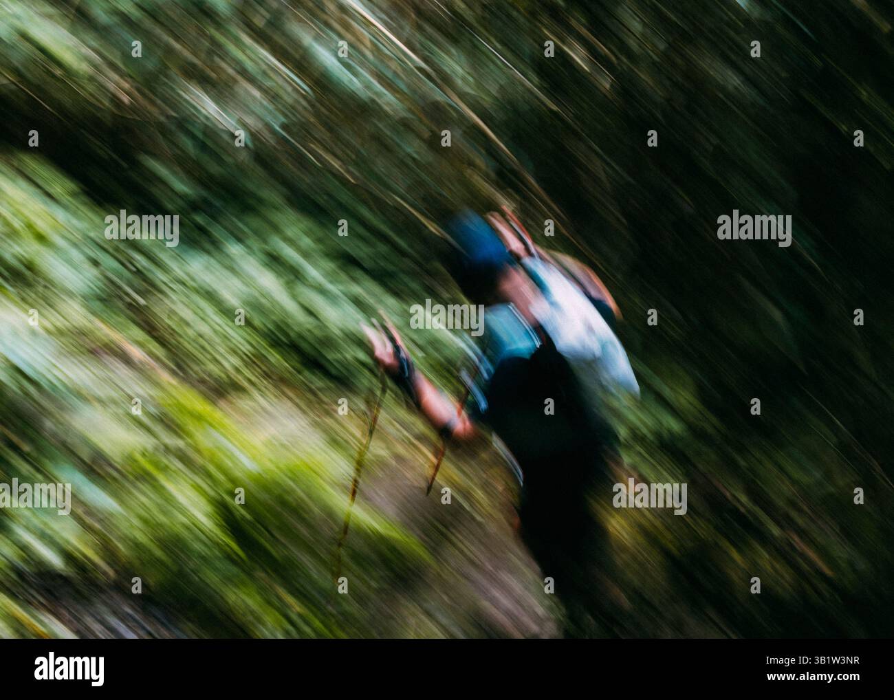 Madeira, 26.04.2025: Feature pictures with runners during the MIUT 115 ...