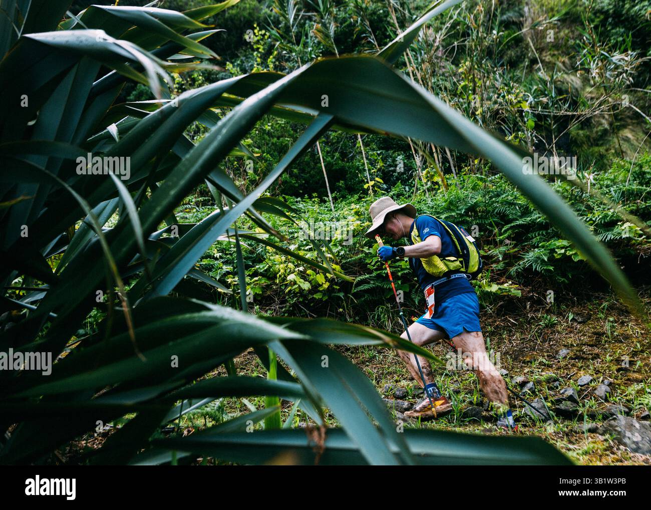 Madeira, 26.04.2025: Feature pictures with runners during the MIUT 115 ...