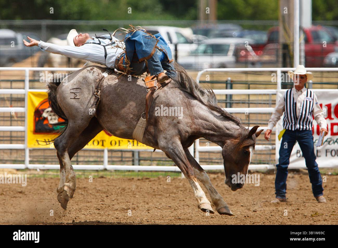 Bareback bronc riding hi-res stock photography and images - Alamy