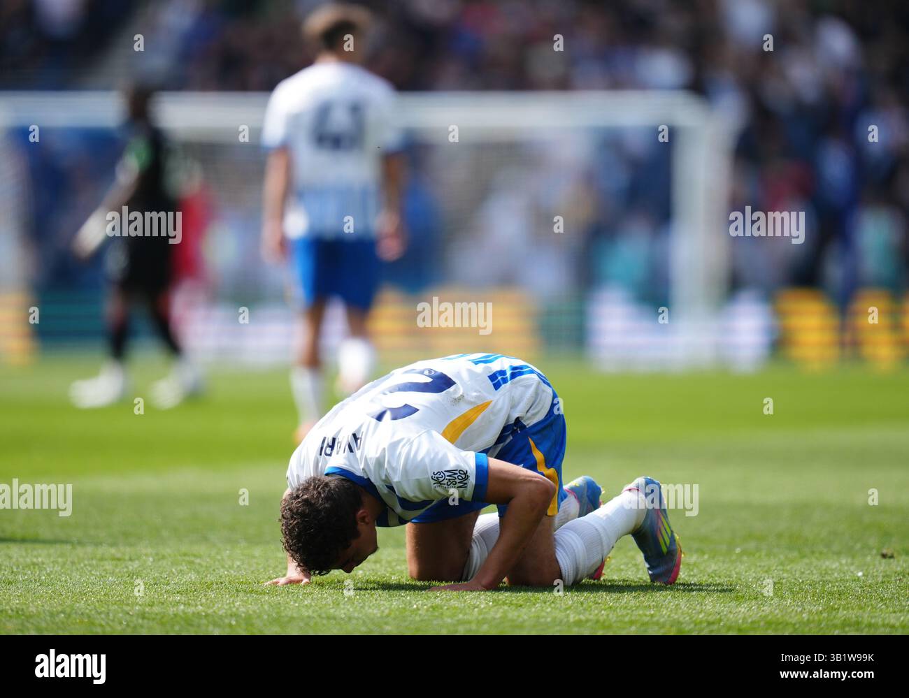 Brighton and Hove Albion's Yasin Ayari celebrates scoring their side's ...