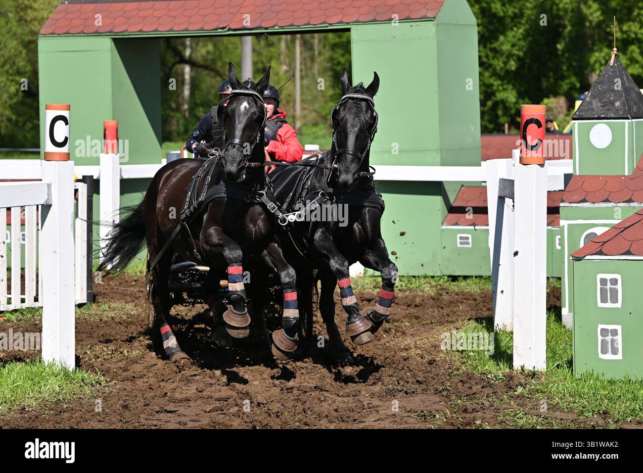 Kladruby Nad Labem, Czech Republic. 26th Apr, 2025. 20th International ...