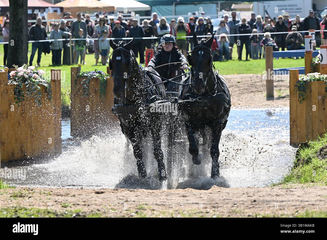 Kladruby Nad Labem, Czech Republic. 26th Apr, 2025. 20th International ...