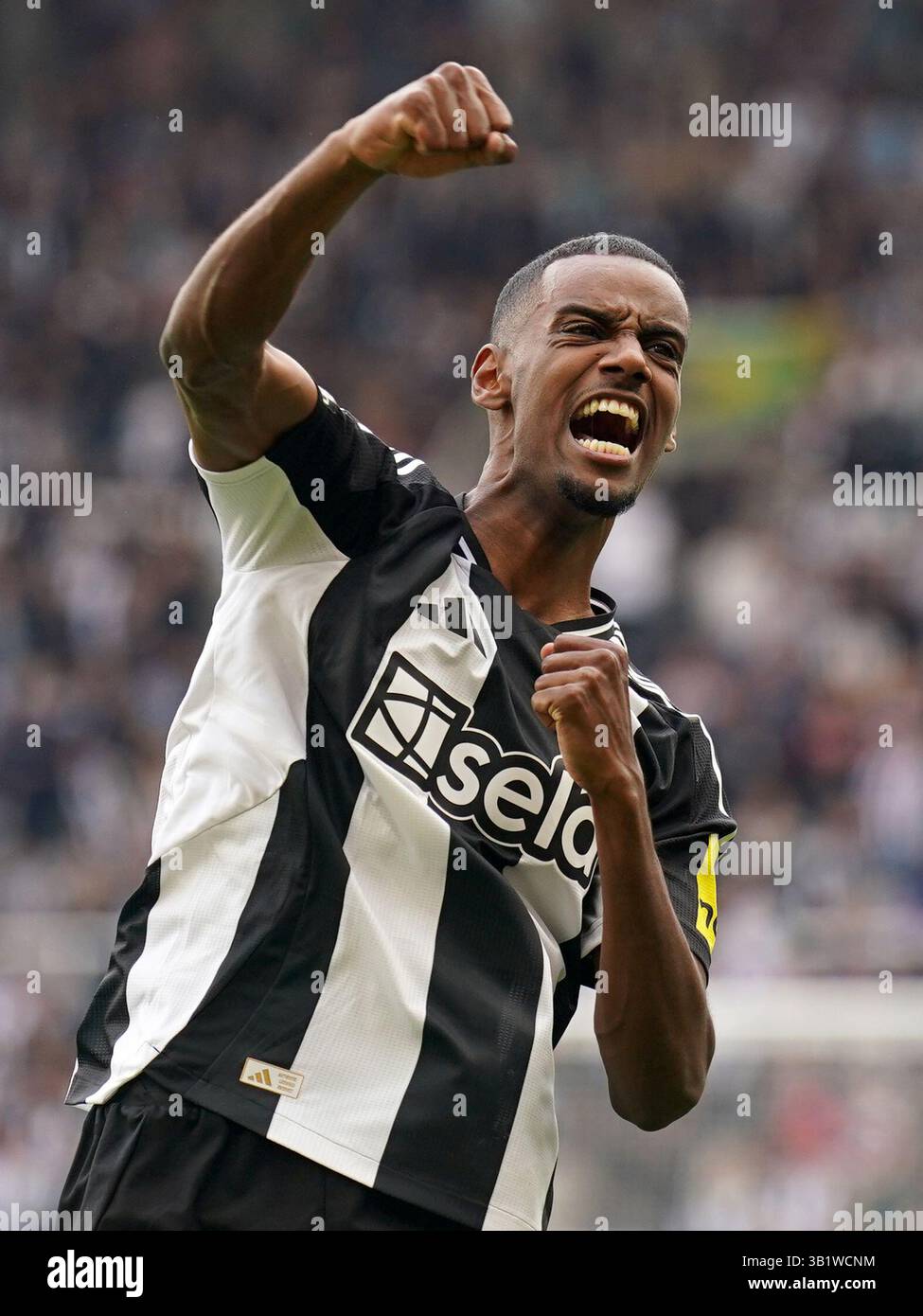 Newcastle United's Alexander Isak celebrates scoring their side's first ...