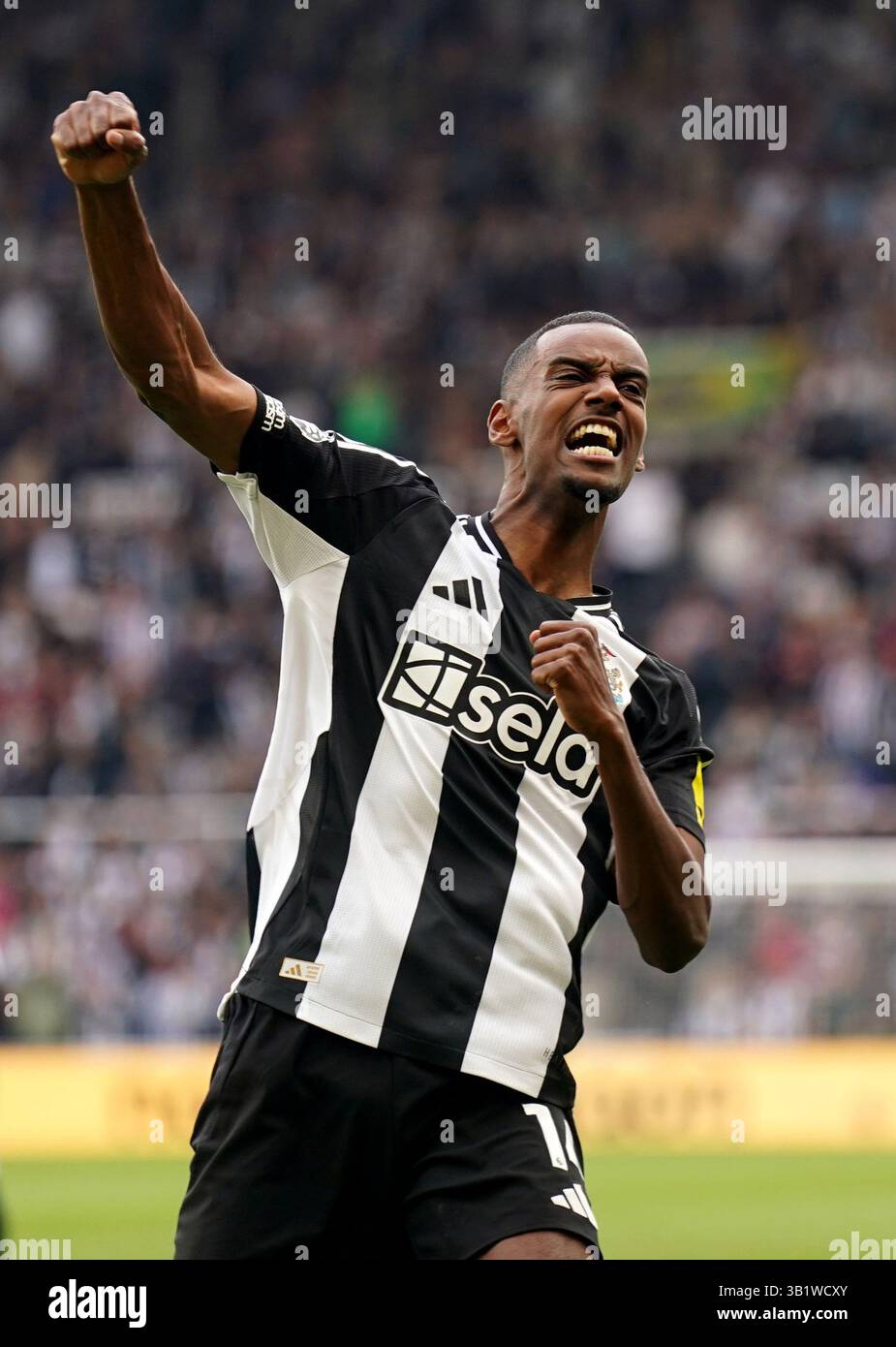 Newcastle United's Alexander Isak celebrates scoring their side's first ...
