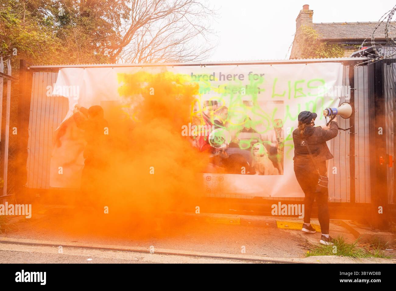 Huntingdon, UK. 26 APR, 2025. Activists rip down a sign during a ...