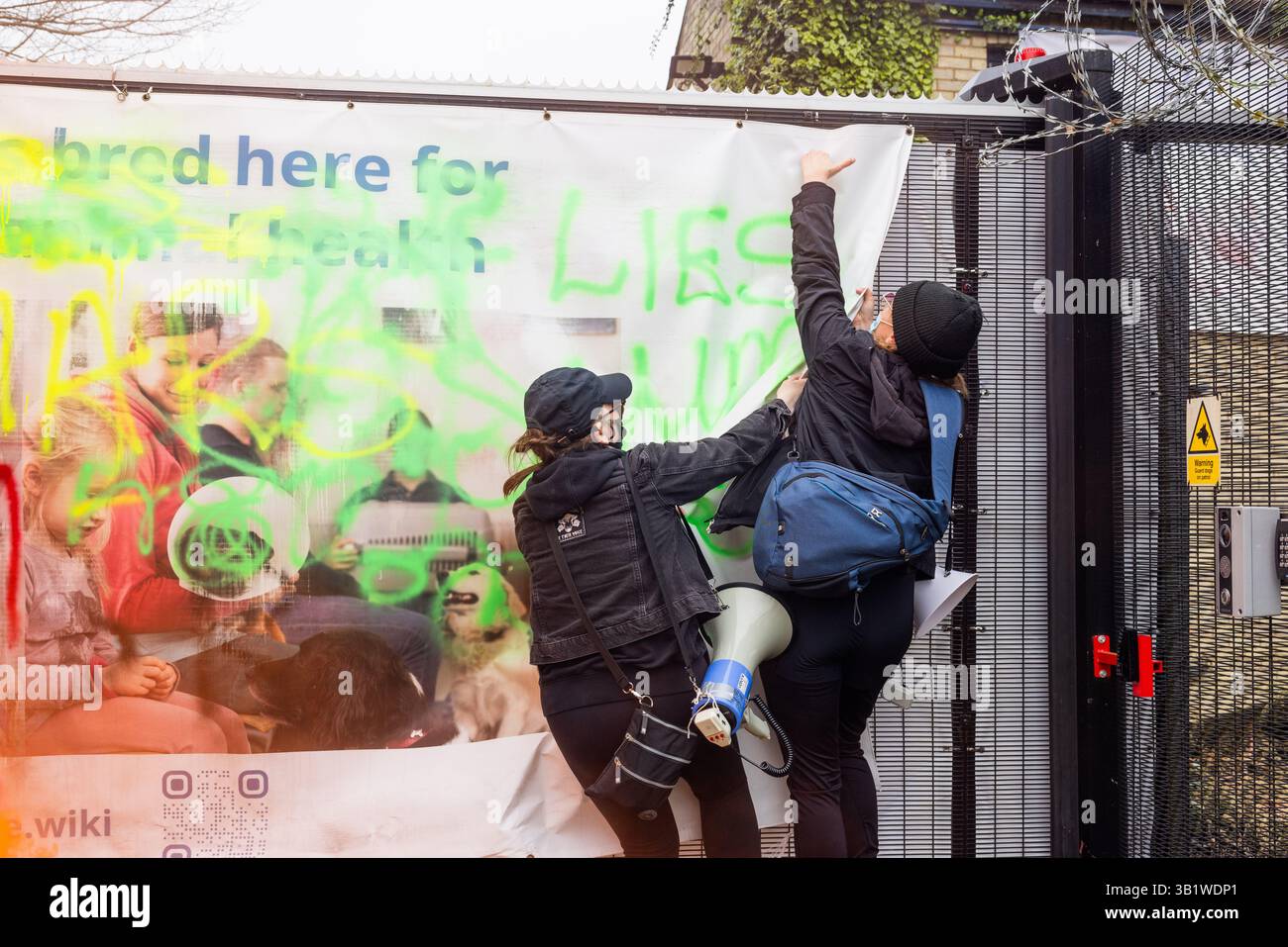 Huntingdon, UK. 26 APR, 2025. Activists rip down a sign during a ...