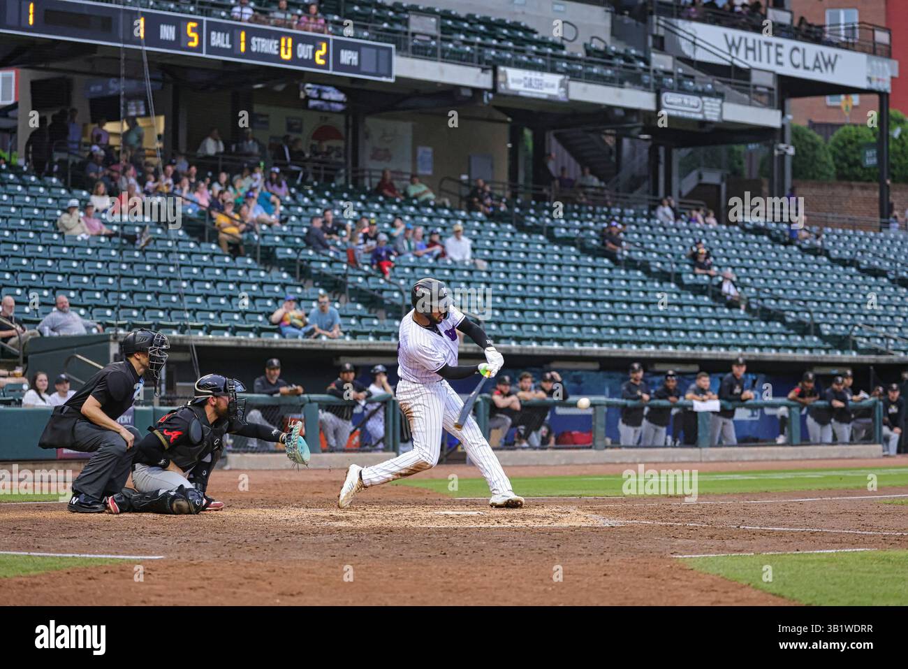 Winston-Salem, NC. USA; Winston-Salem Dash third base Arxy Hernandez ...