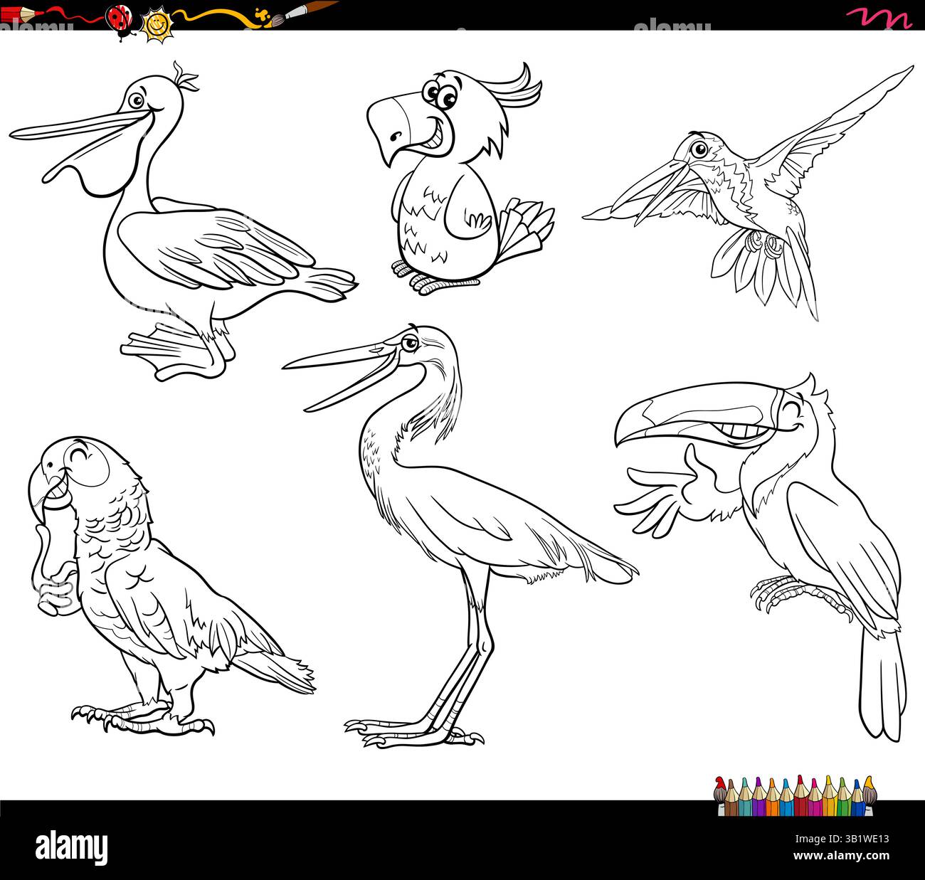 Cartoon illustration of comic birds animal species characters ...
