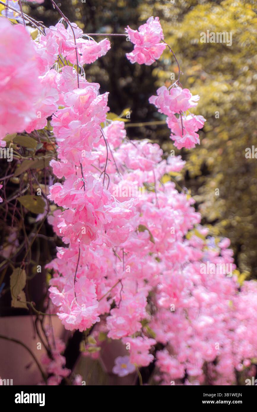 Romantic garden walkway pink hi-res stock photography and images - Alamy