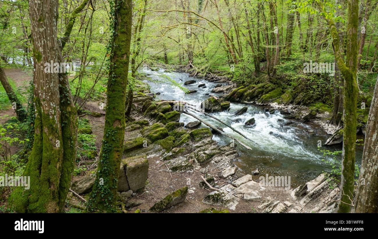 Adventure valley belgium hi-res stock photography and images - Alamy
