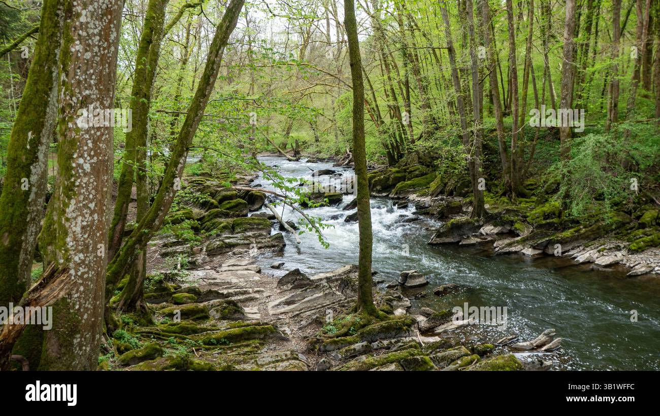 Adventure valley belgium hi-res stock photography and images - Alamy